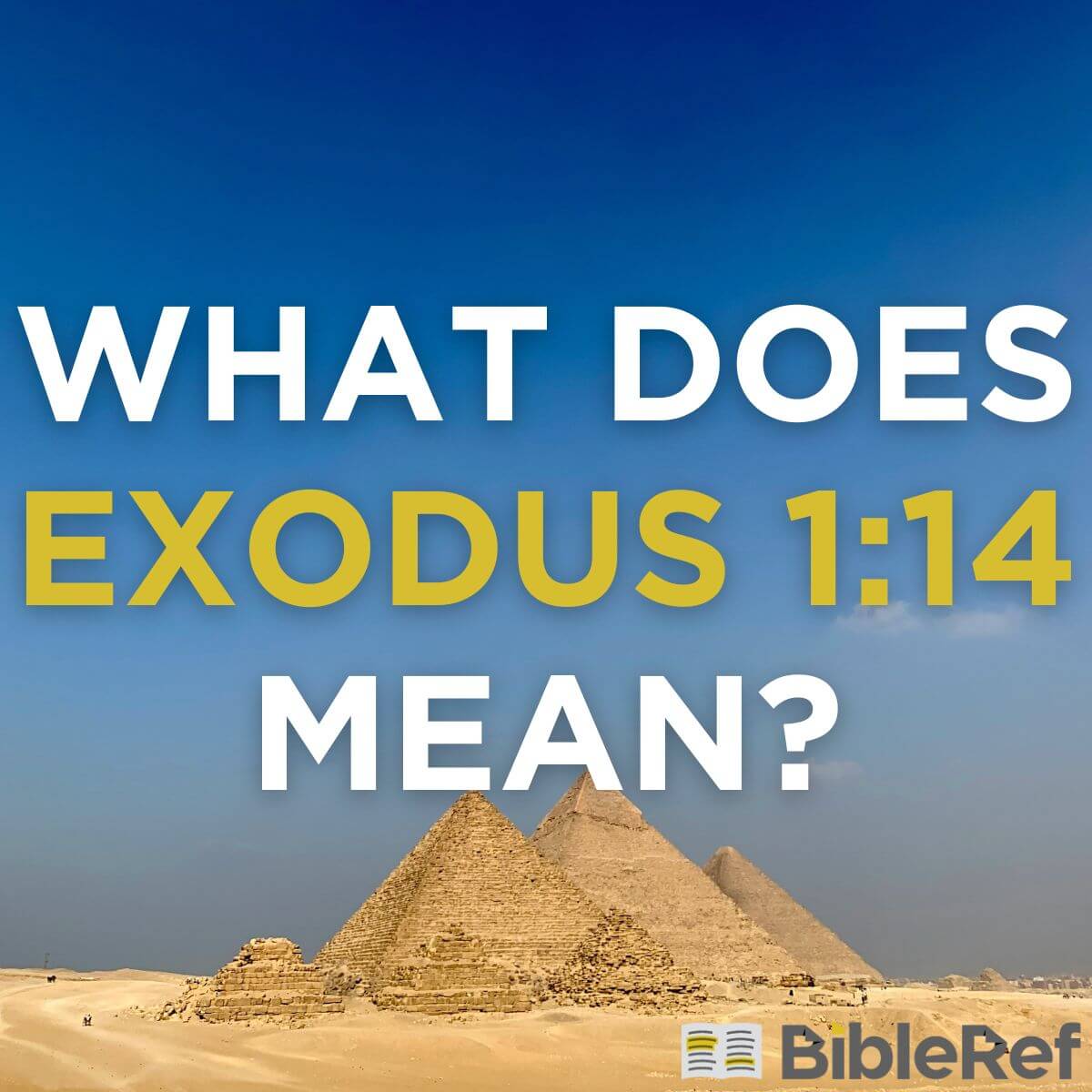 What does Exodus 1 14 mean BibleRef