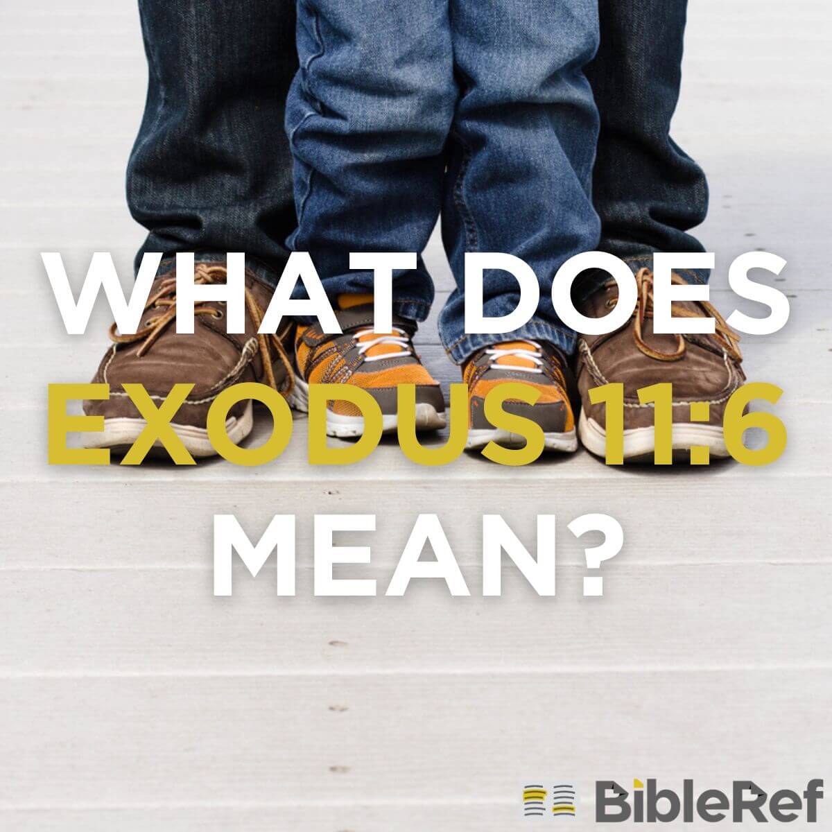 What does Exodus 11:6 mean? | BibleRef.com