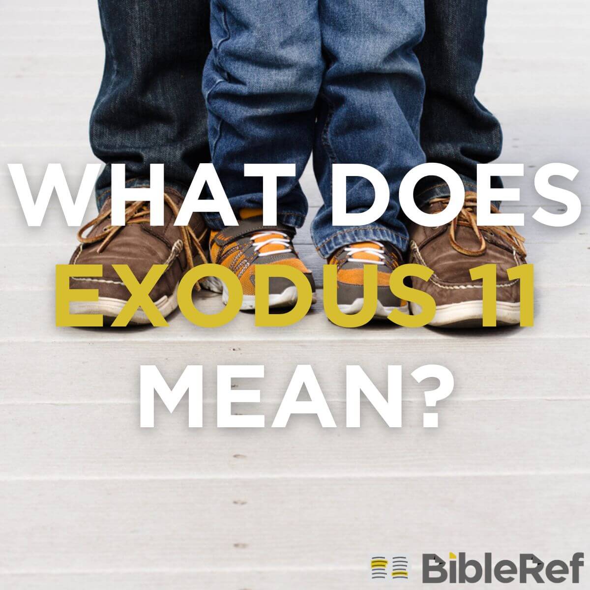 What does Exodus chapter 11 mean? | BibleRef.com