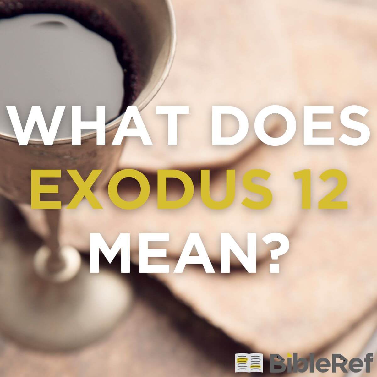 What does Exodus chapter 12 mean? | BibleRef.com