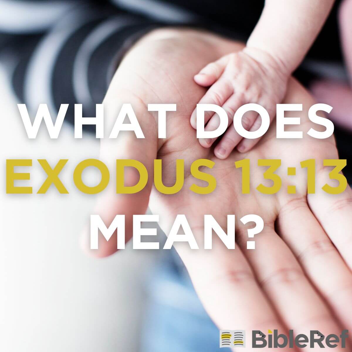 What does Exodus 13:13 mean? | BibleRef.com