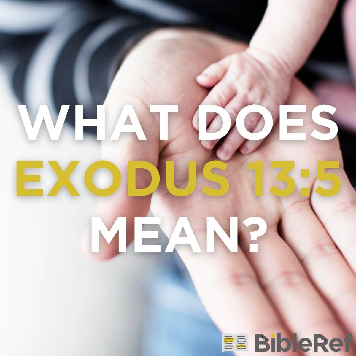 What does Exodus 13:5 mean? | BibleRef.com