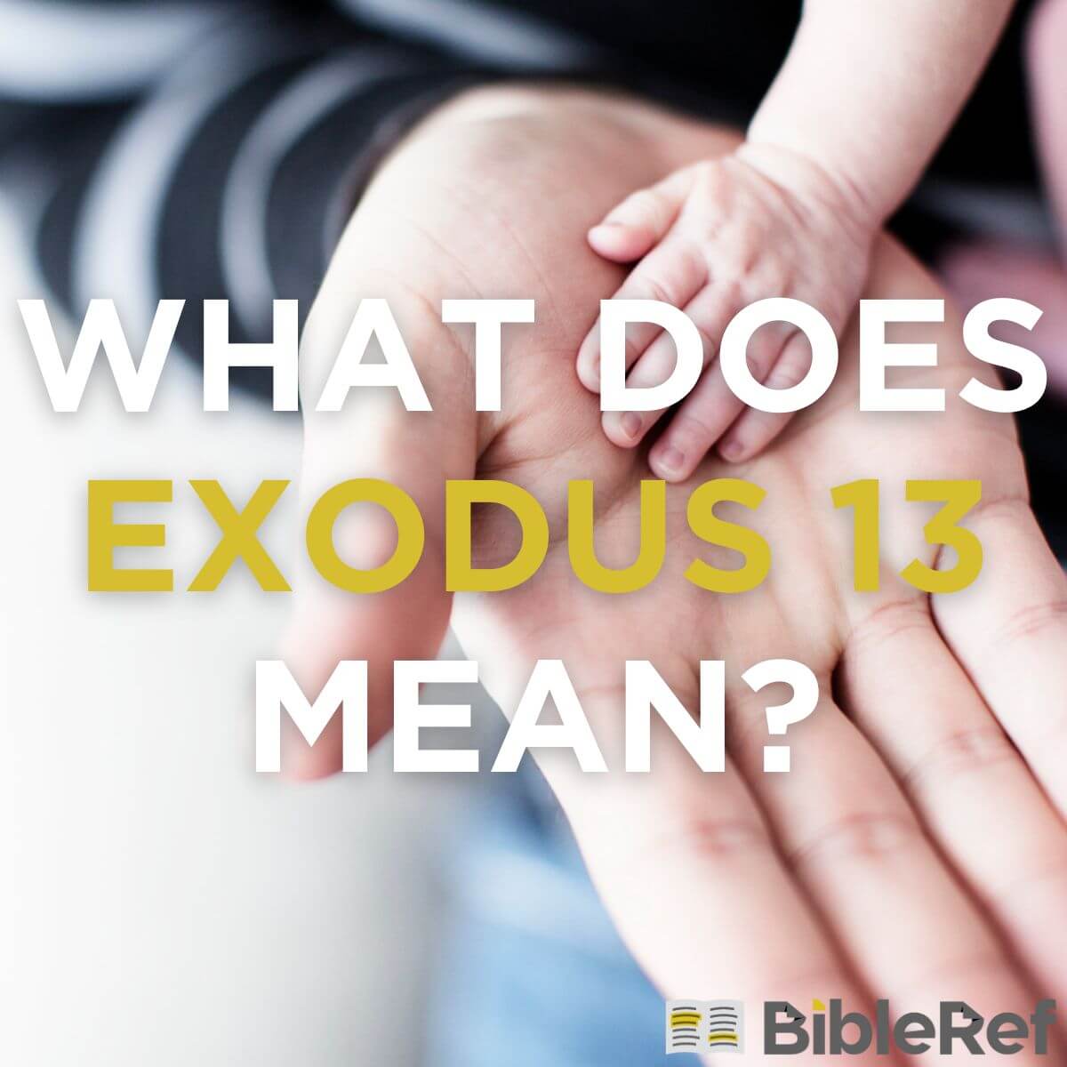 What does Exodus chapter 13 mean? | BibleRef.com