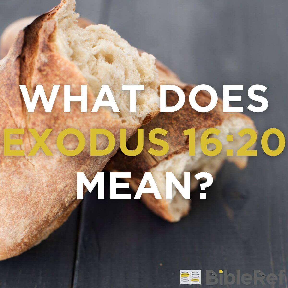 What does Exodus 16:20 mean? | BibleRef.com