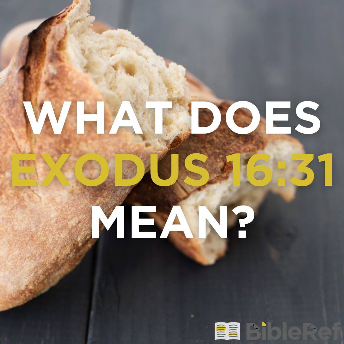 What does Exodus 16:31 mean? | BibleRef.com