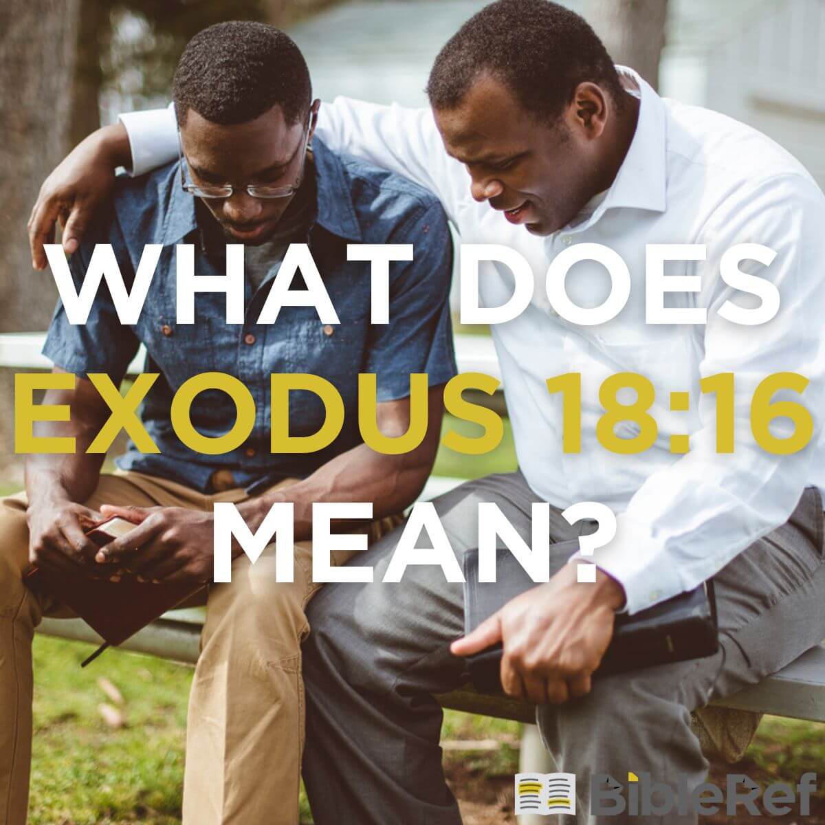 What does Exodus 18:16 mean? | BibleRef.com