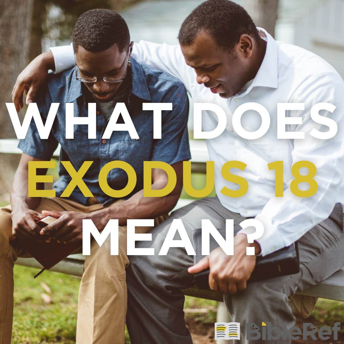 What does Exodus chapter 18 mean? | BibleRef.com