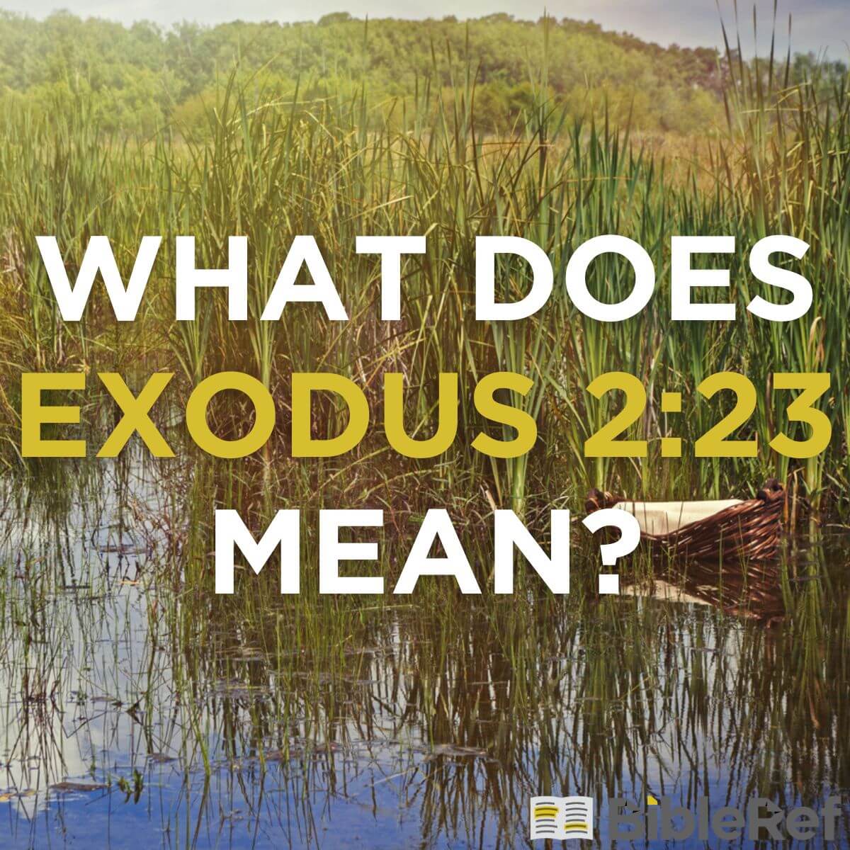 What does Exodus 2:23 mean? | BibleRef.com