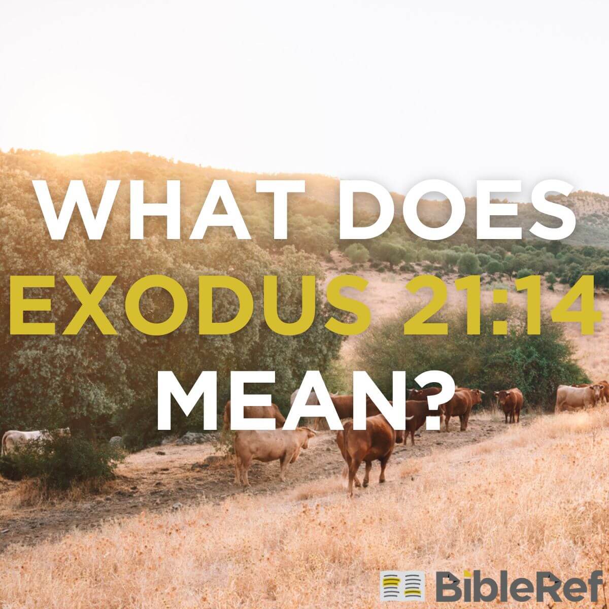 What does Exodus 21:14 mean? | BibleRef.com
