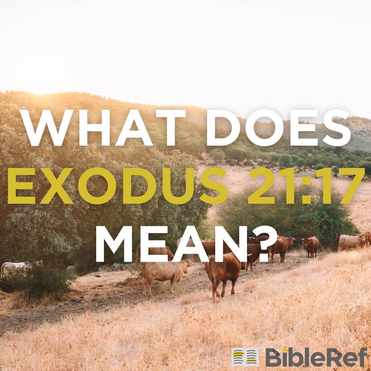 What does Exodus 21:17 mean? | BibleRef.com