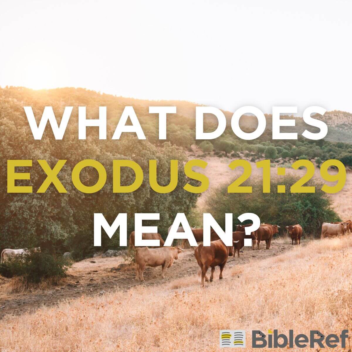 What does Exodus 21:29 mean? | BibleRef.com
