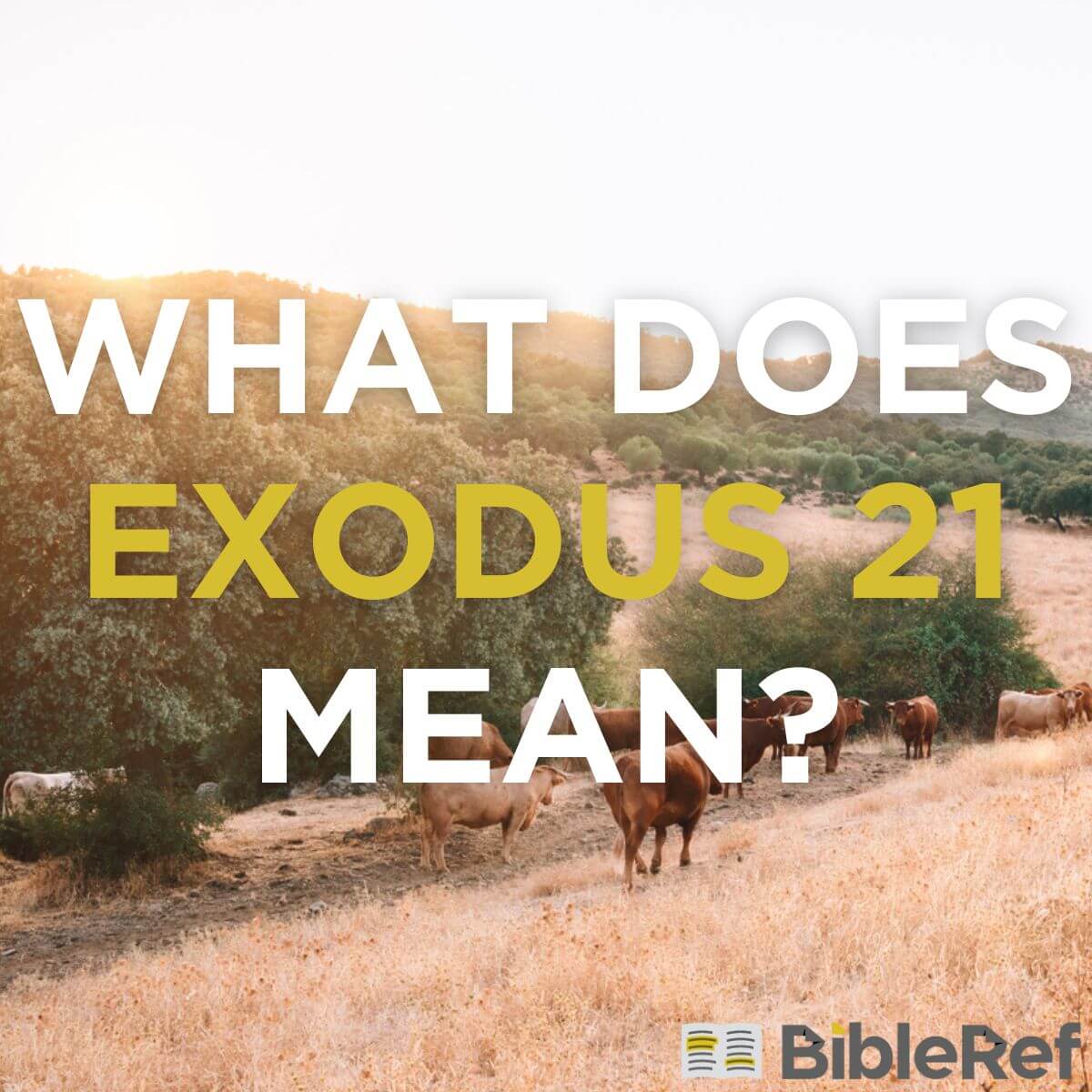 What does Exodus chapter 21 mean? | BibleRef.com