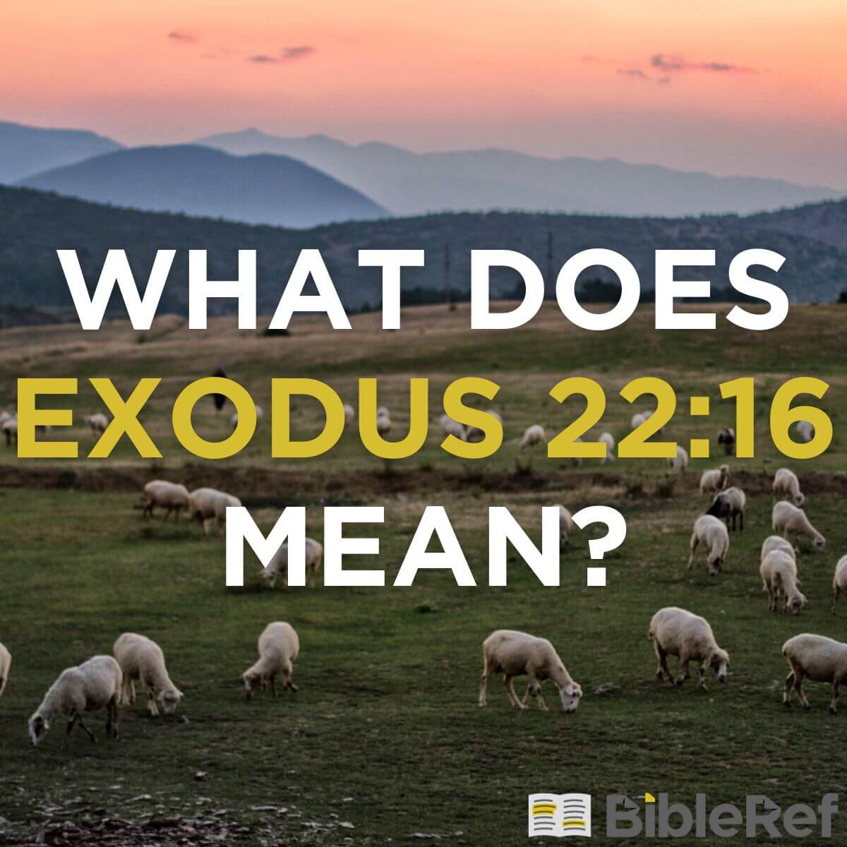 What does Exodus 22:16 mean? | BibleRef.com