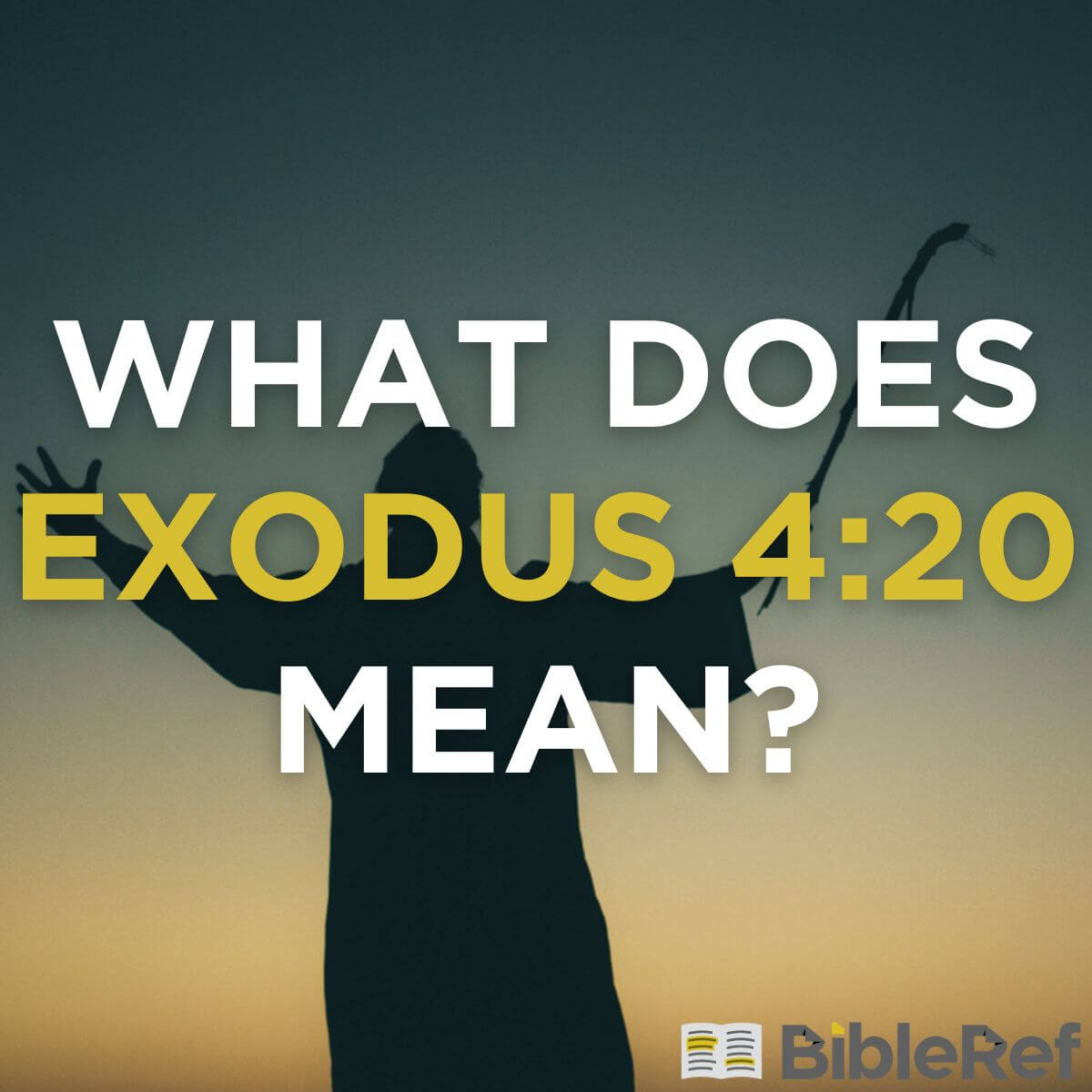 What does Exodus 4:20 mean? | BibleRef.com