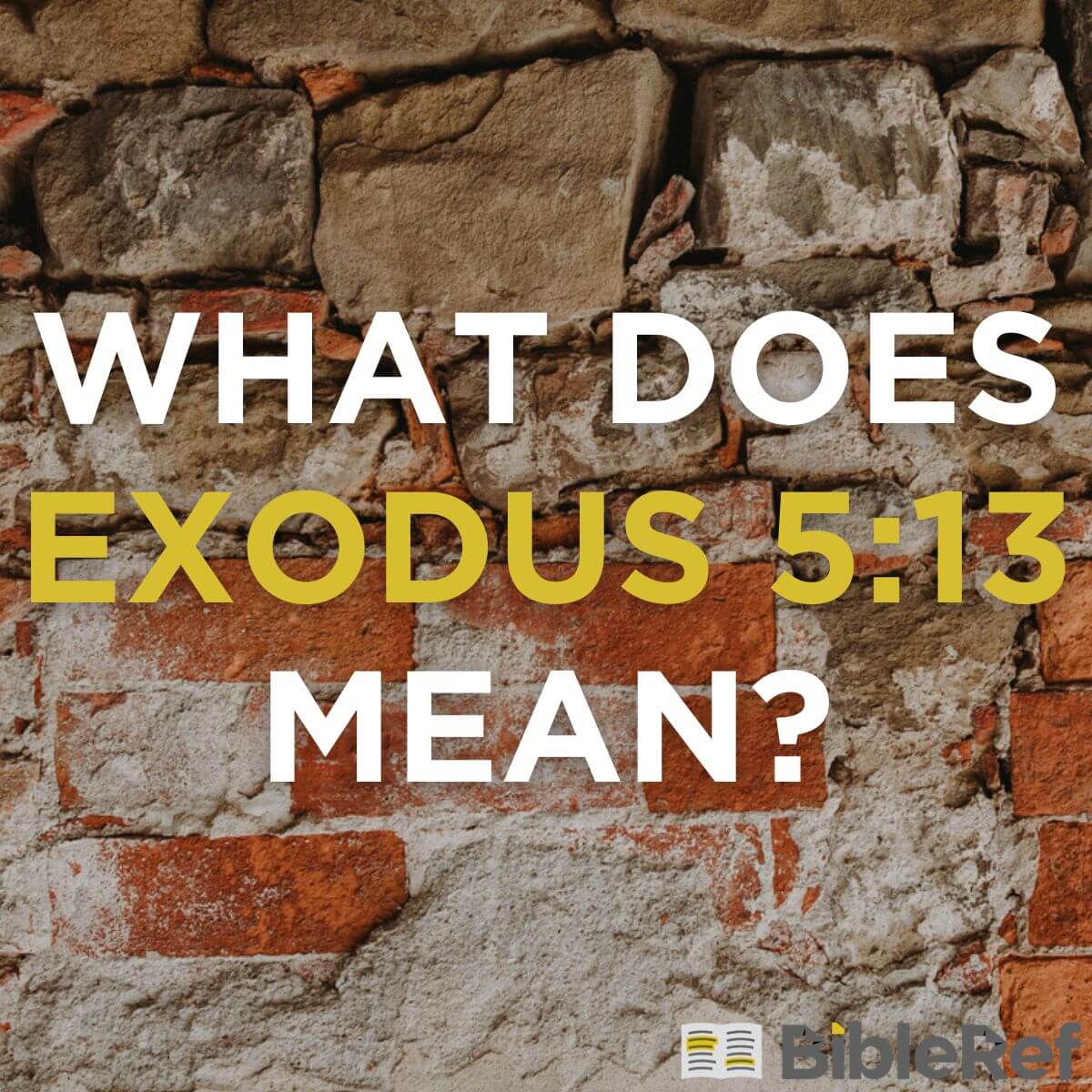 What does Exodus 5:13 mean? | BibleRef.com