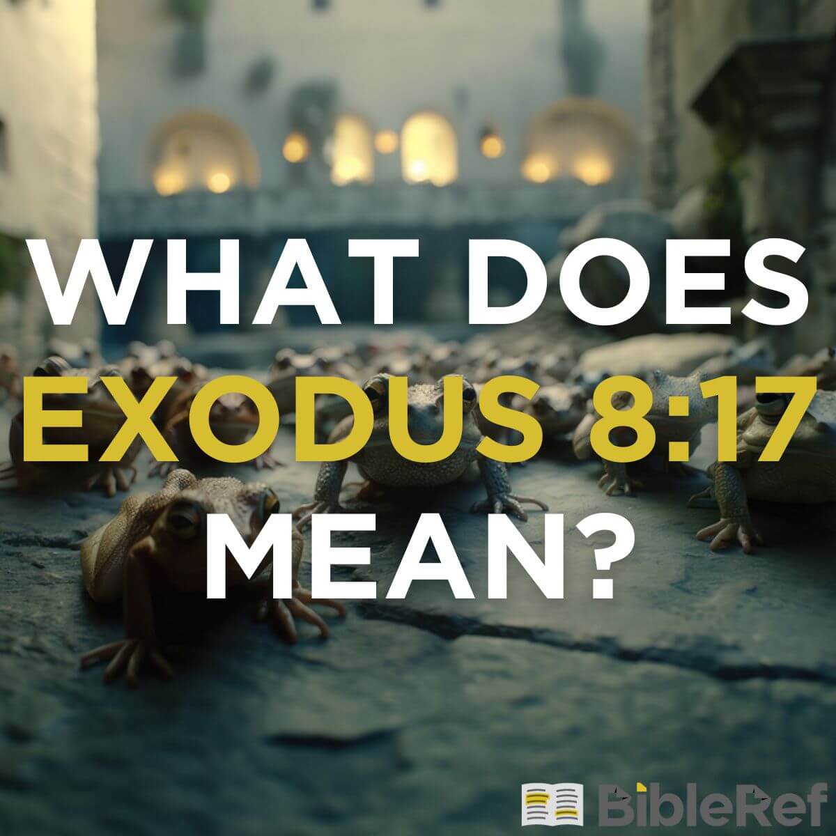 What does Exodus 8:17 mean? | BibleRef.com