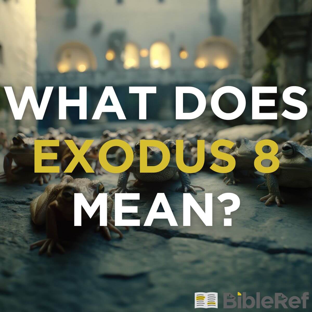 What does Exodus chapter 8 mean? | BibleRef.com