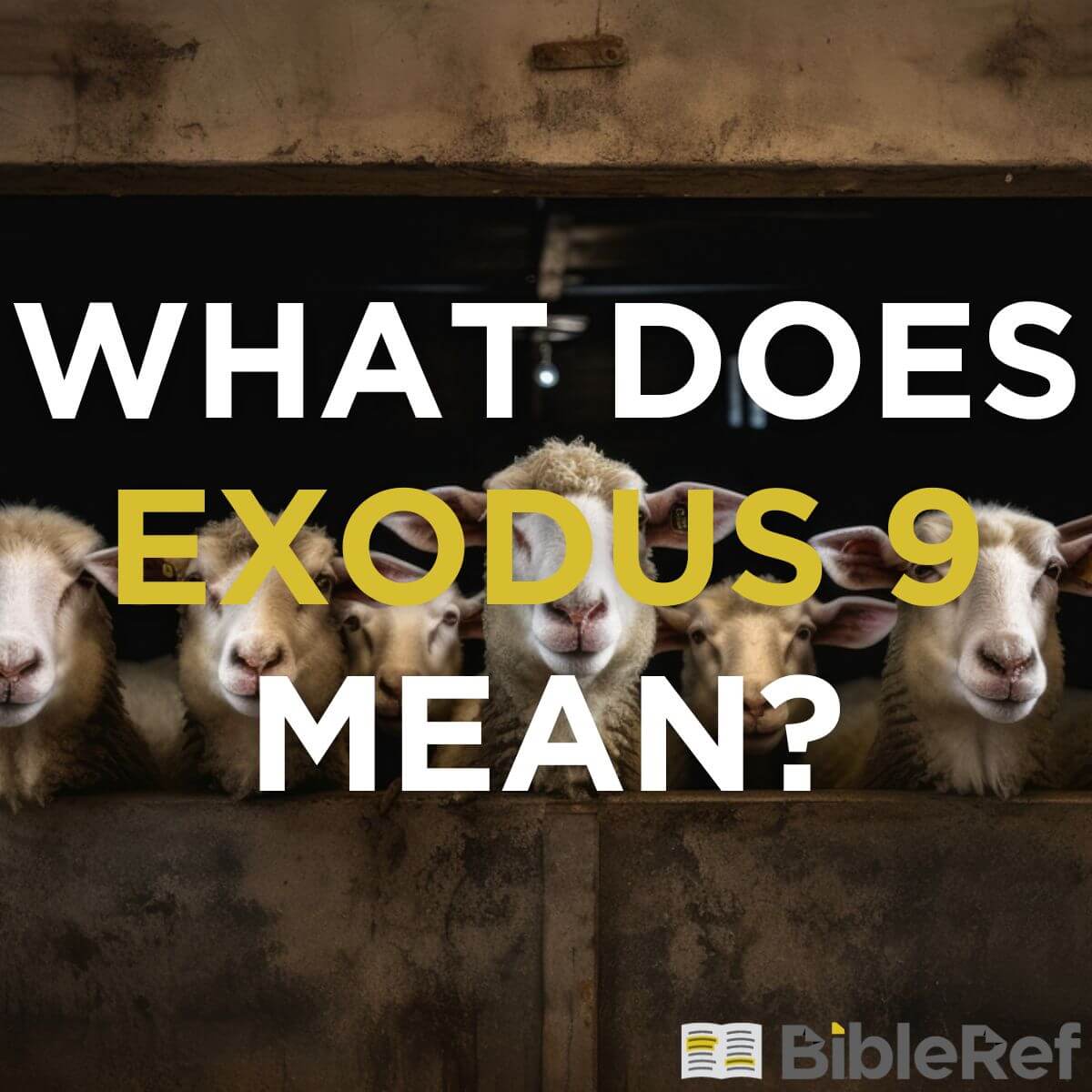 What does Exodus chapter 9 mean? | BibleRef.com