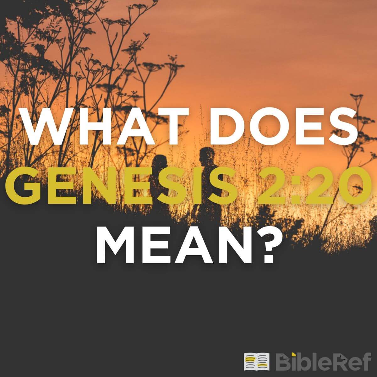 What does Genesis 2:20 mean? | BibleRef.com