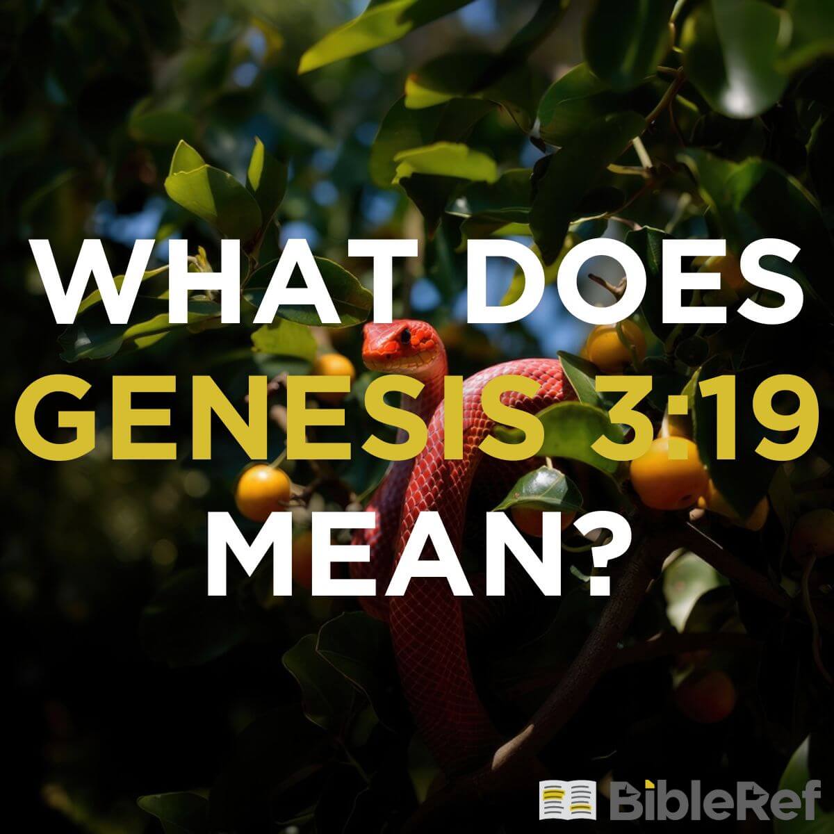 What does Genesis 3:19 mean? | BibleRef.com