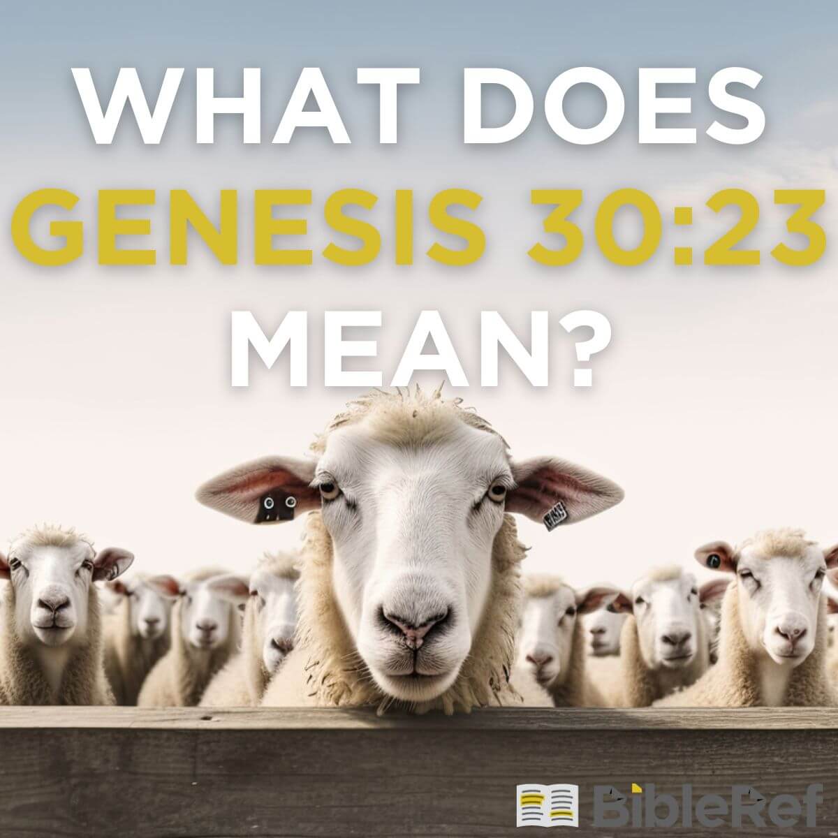 What does Genesis 30:23 mean? | BibleRef.com