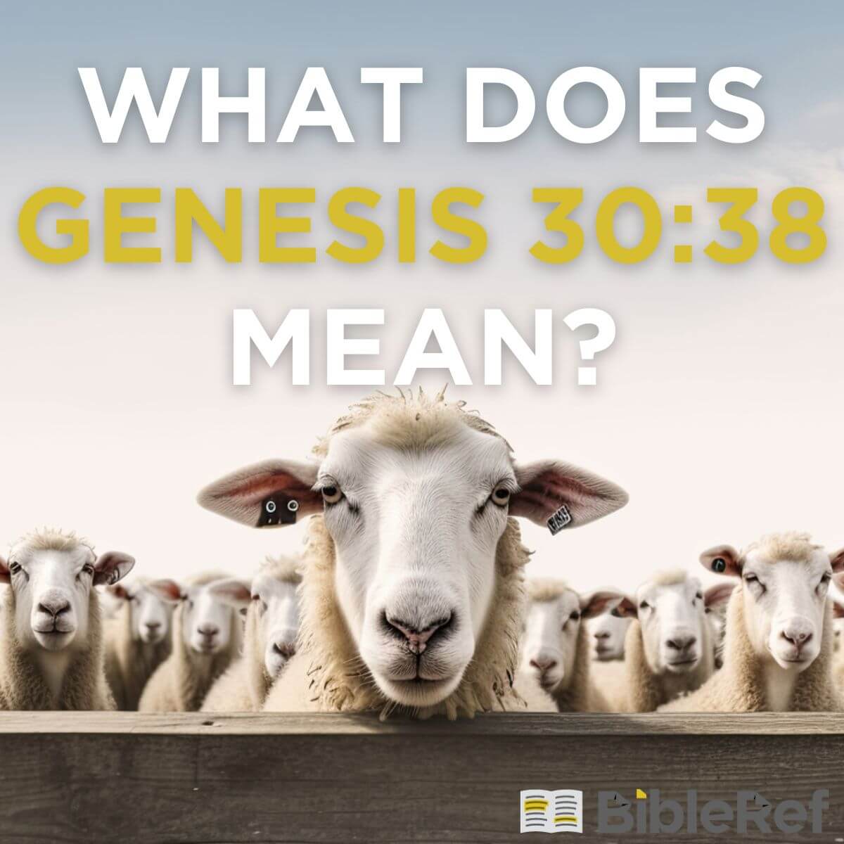 What does Genesis 30:38 mean? | BibleRef.com