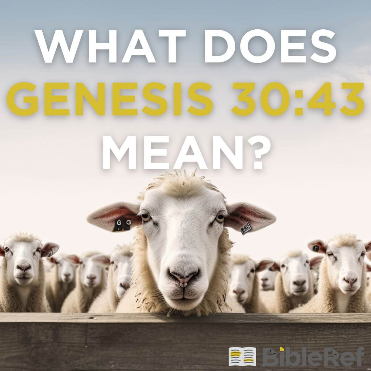 What does Genesis 30:43 mean? | BibleRef.com