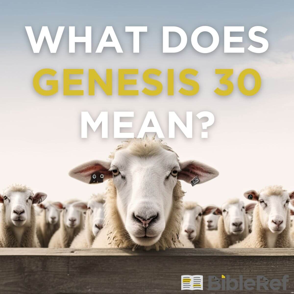 What does Genesis chapter 30 mean? | BibleRef.com