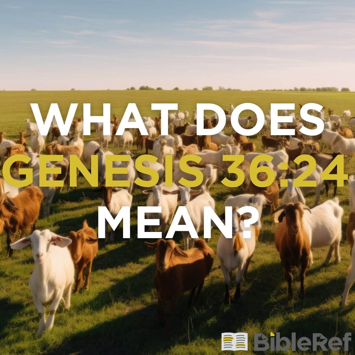 What does Genesis 36:24 mean? | BibleRef.com