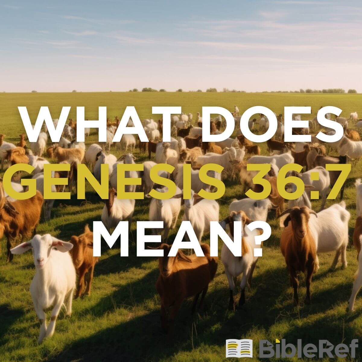 What does Genesis 36:7 mean? | BibleRef.com