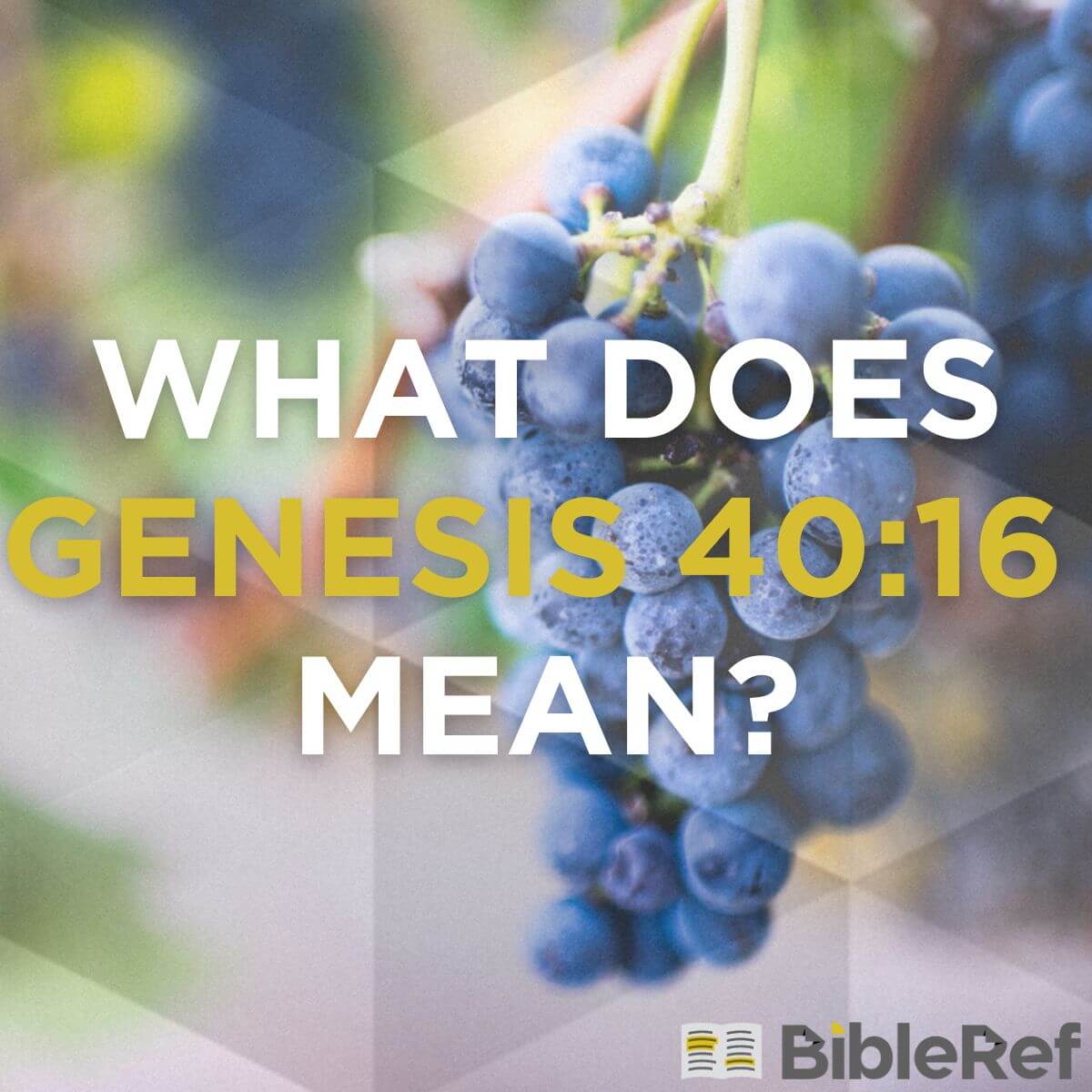 What does Genesis 40:16 mean? | BibleRef.com
