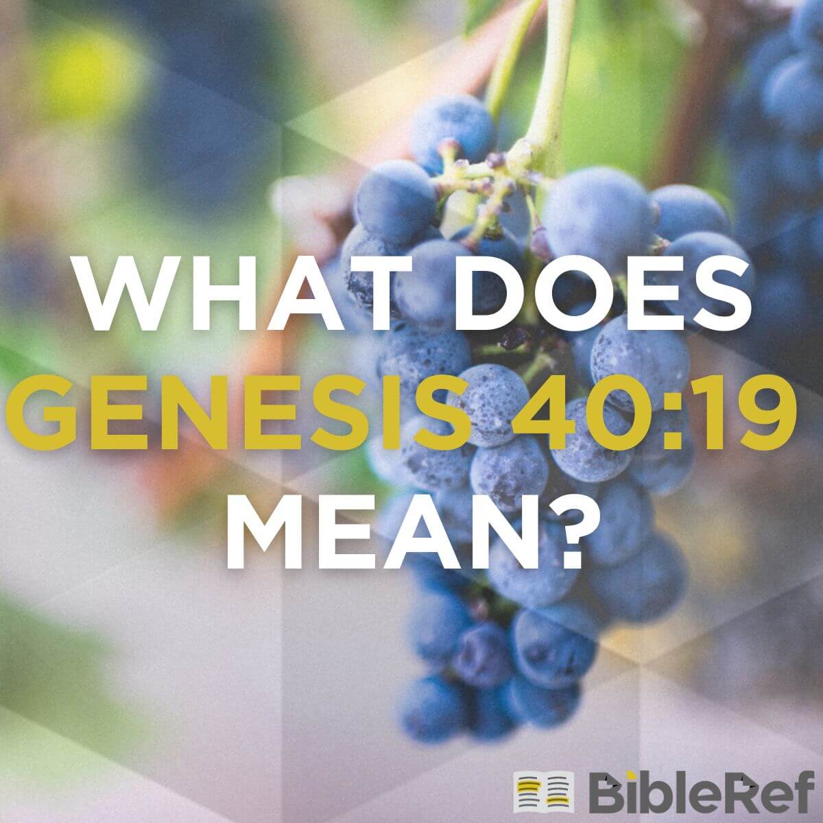 What does Genesis 40:19 mean? | BibleRef.com