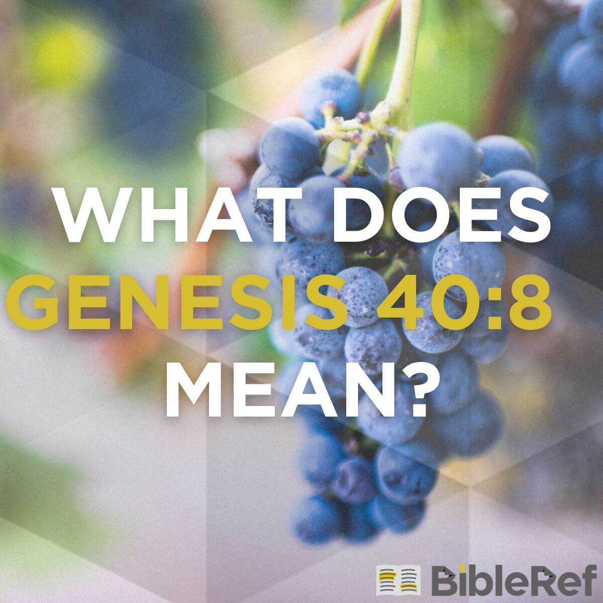 What does Genesis 40:8 mean? | BibleRef.com