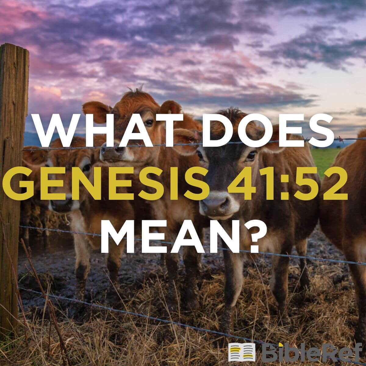 What does Genesis 41:52 mean? | BibleRef.com