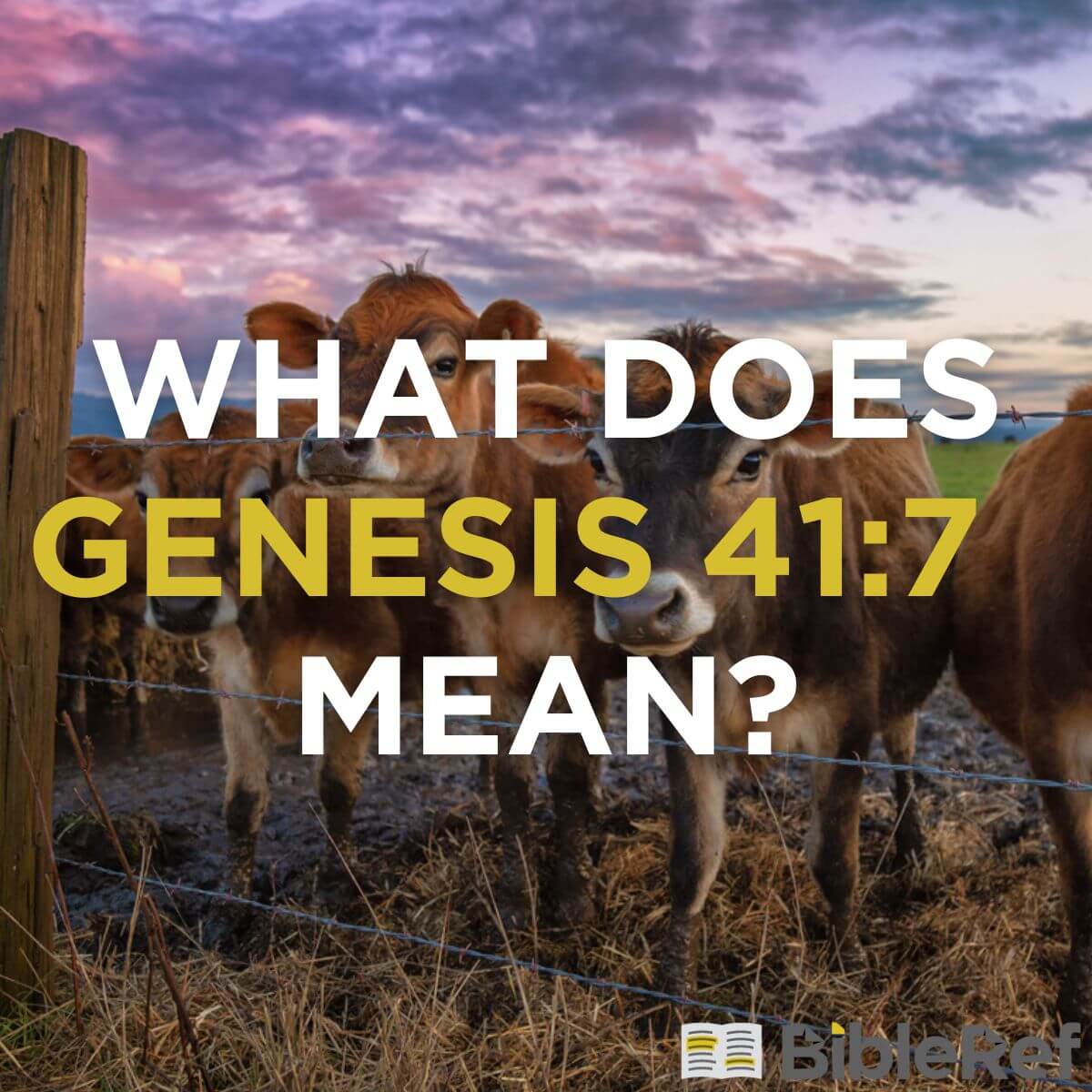 What does Genesis 41:7 mean? | BibleRef.com