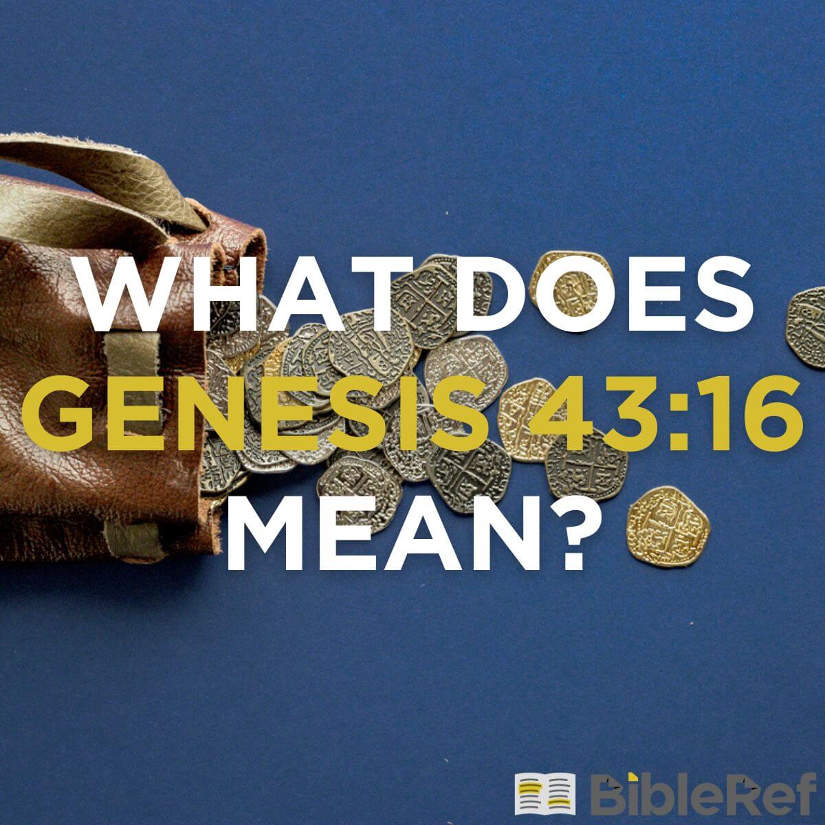 What does Genesis 43:16 mean? | BibleRef.com