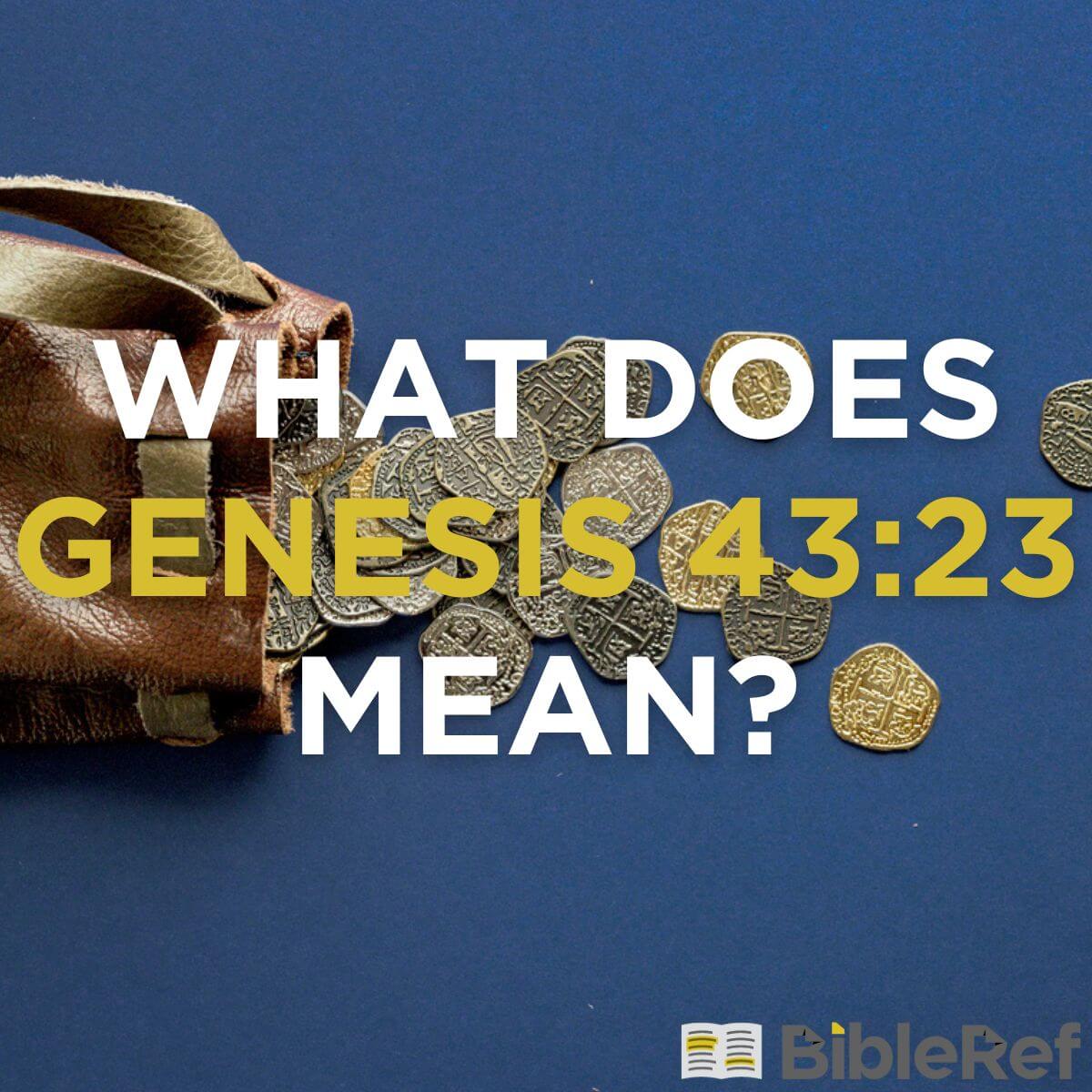 What does Genesis 43:23 mean? | BibleRef.com