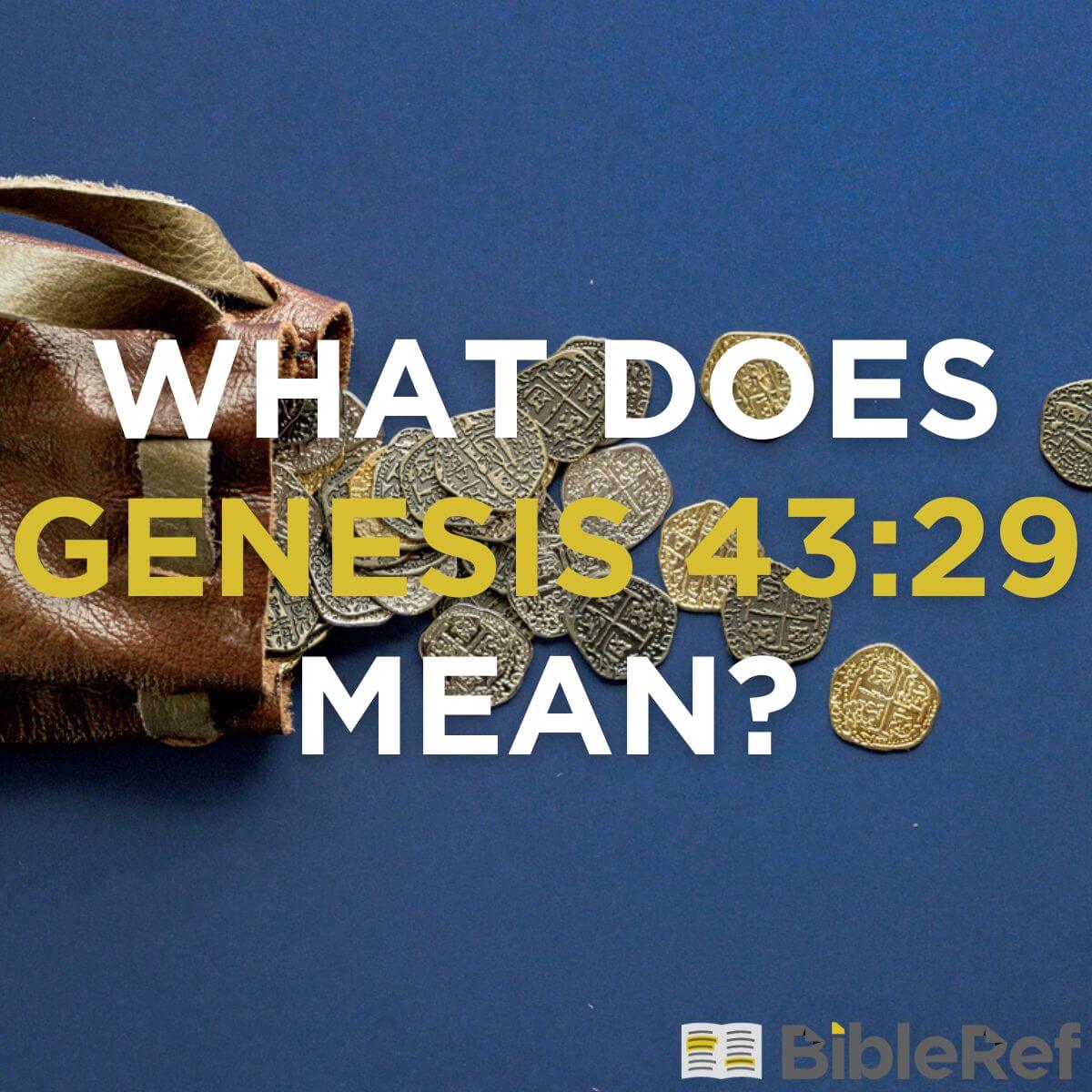 What does Genesis 43:29 mean? | BibleRef.com