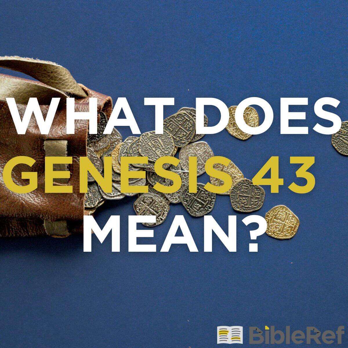 What does Genesis chapter 43 mean? | BibleRef.com