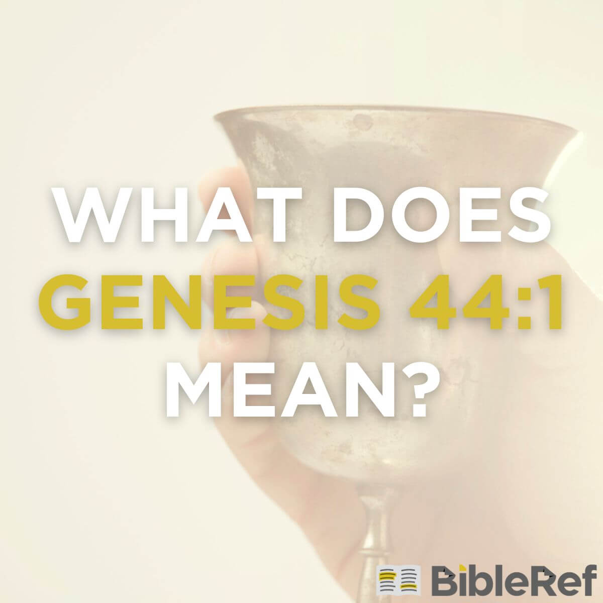 What does Genesis 44:1 mean? | BibleRef.com