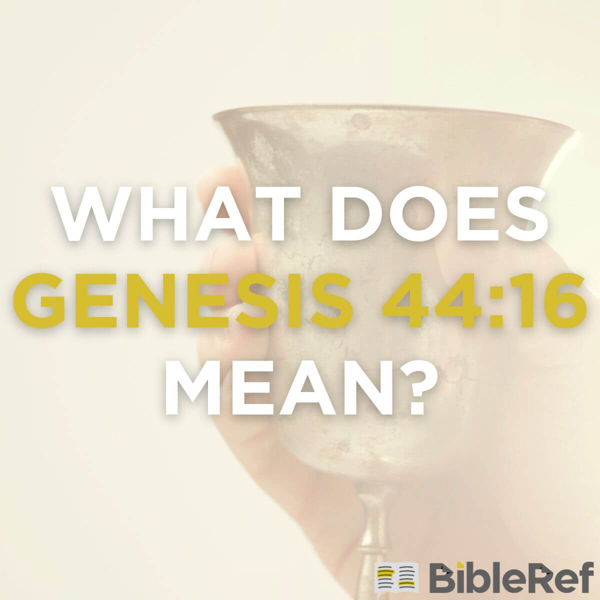 What does Genesis 44:16 mean? | BibleRef.com