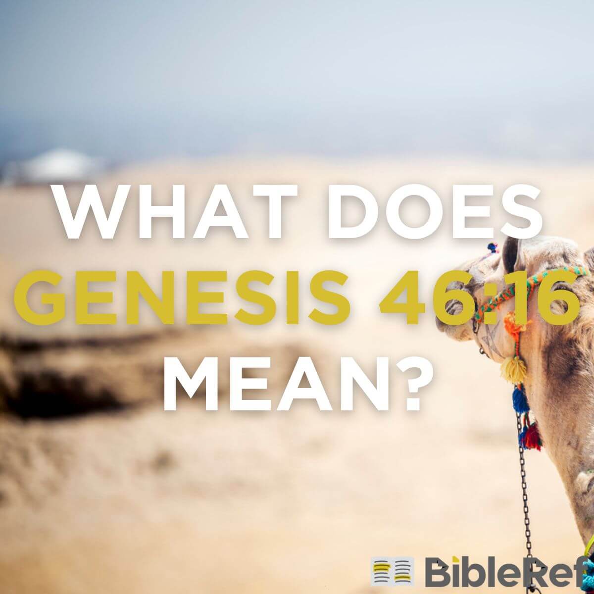 What does Genesis 46:16 mean? | BibleRef.com