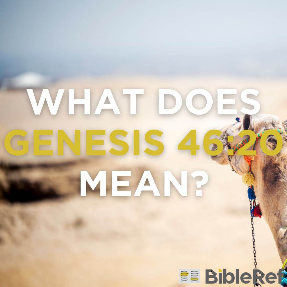 What does Genesis 46:20 mean? | BibleRef.com