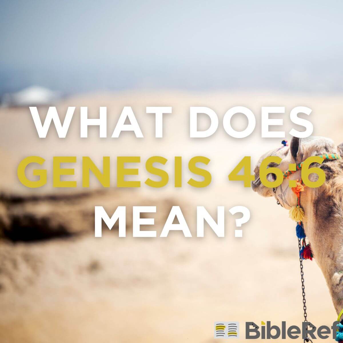What does Genesis 46:6 mean? | BibleRef.com