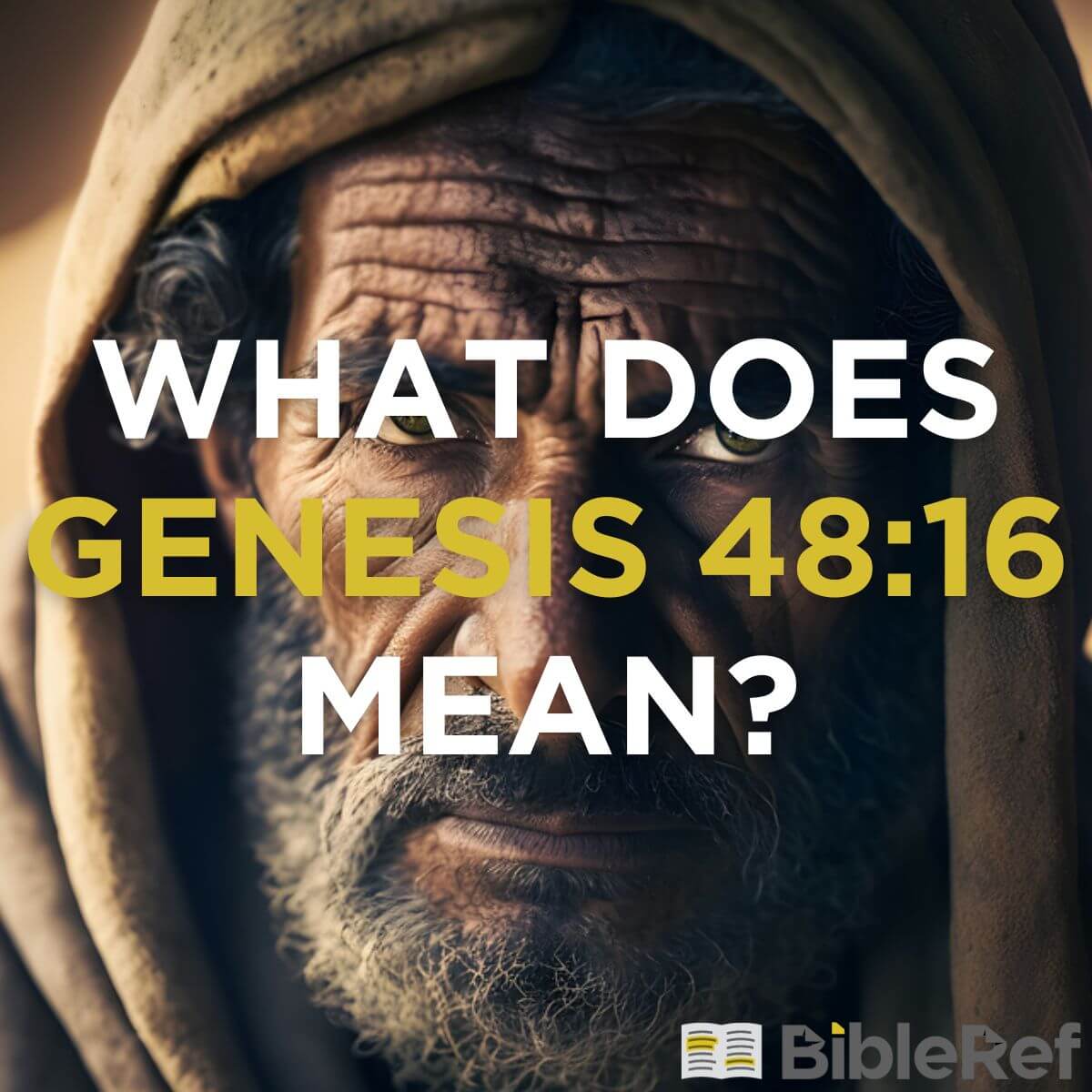 What does Genesis 48:16 mean? | BibleRef.com