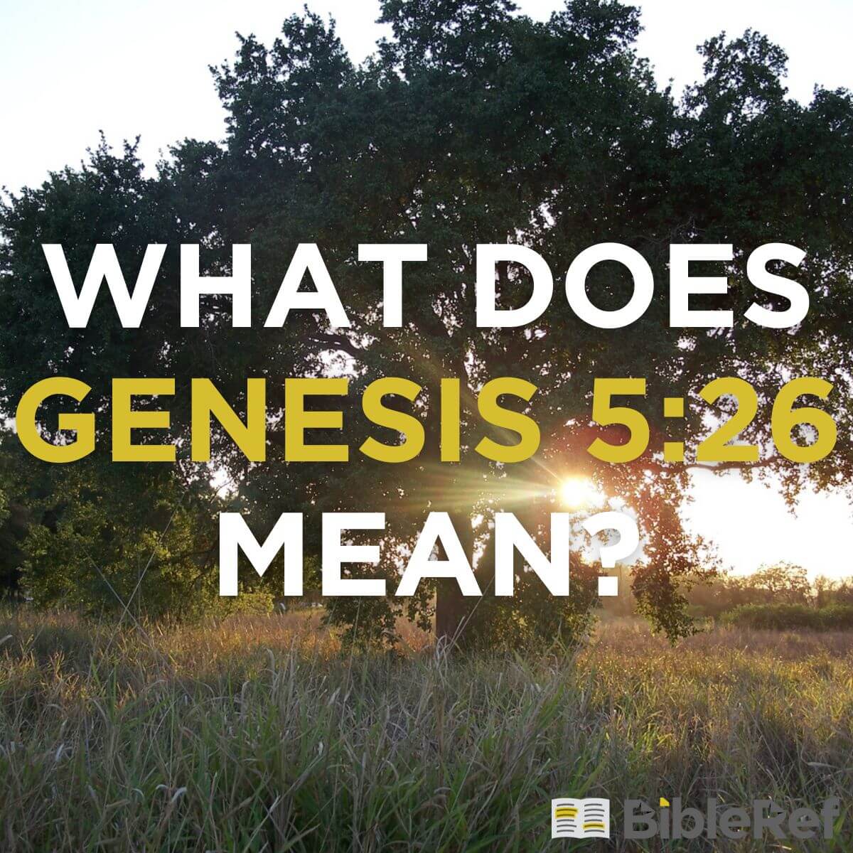 What does Genesis 5:26 mean? | BibleRef.com
