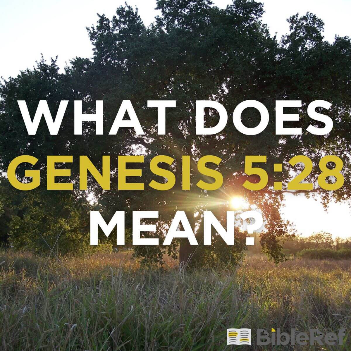 What does Genesis 5:28 mean? | BibleRef.com