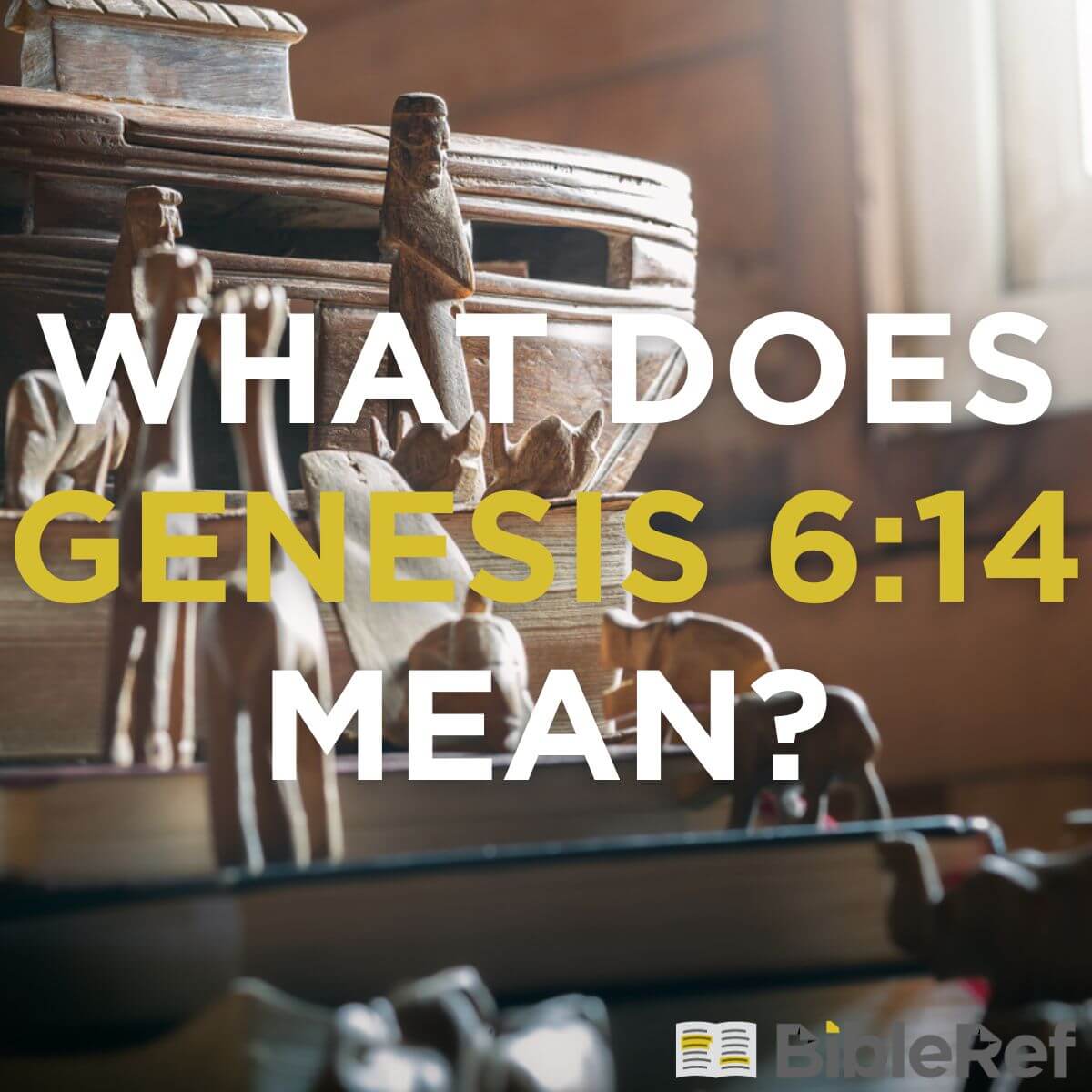 What does Genesis 6:14 mean? | BibleRef.com