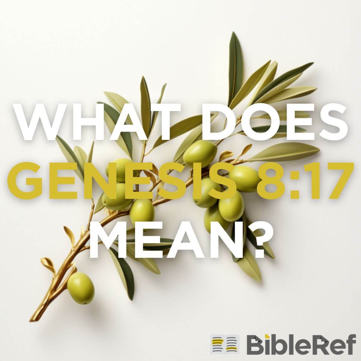 What does Genesis 8:17 mean? | BibleRef.com