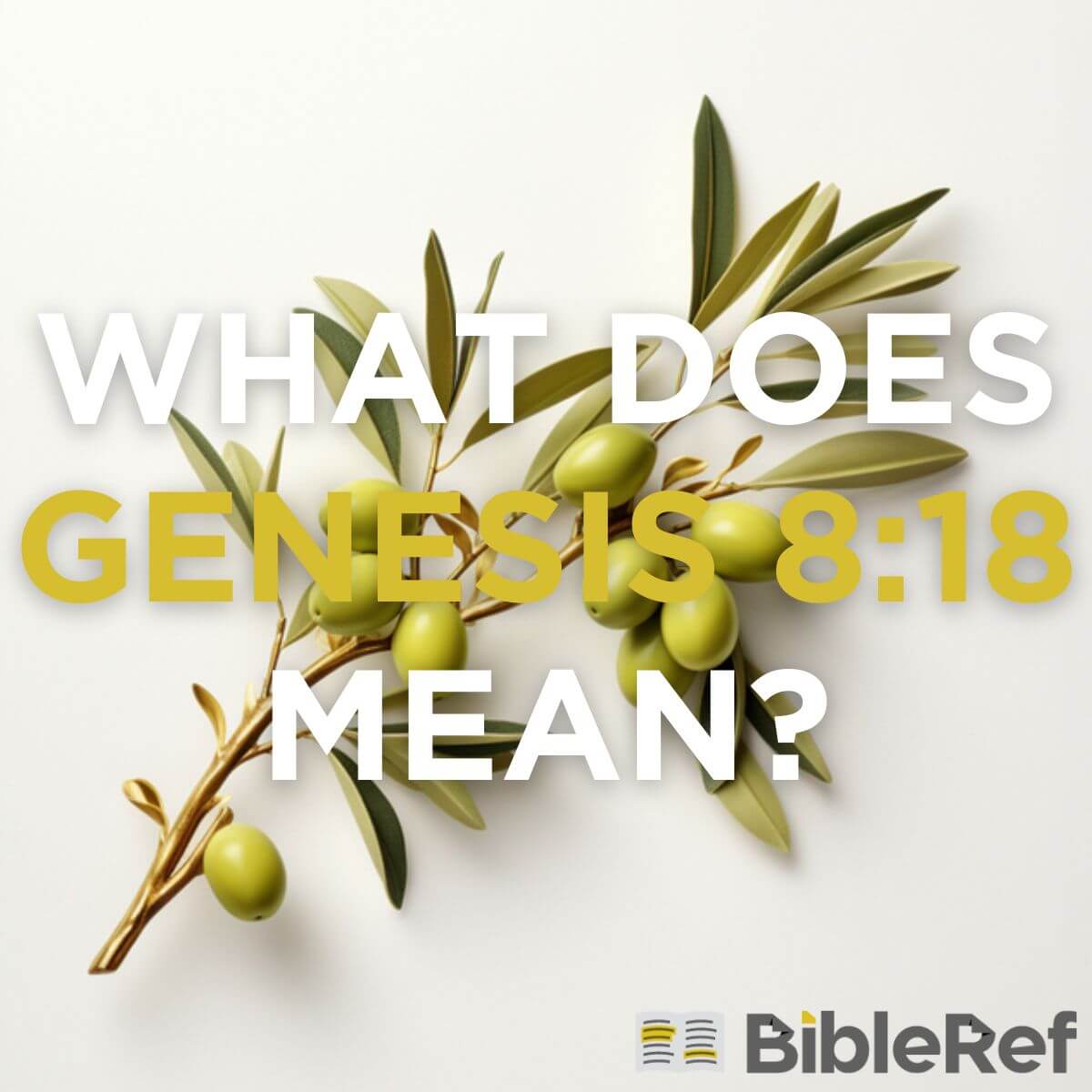 What does Genesis 8:18 mean? | BibleRef.com